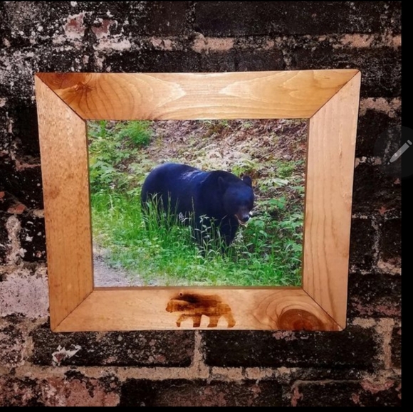 Handmade | Accents | 8x Bear Photo In Wooden Frame | Poshmark